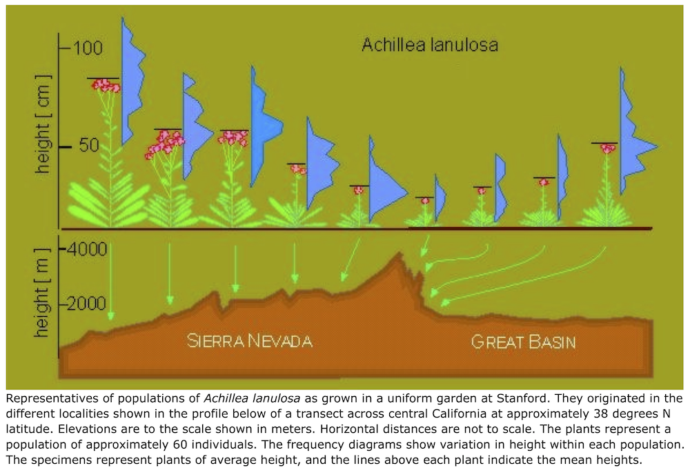 Landraces, Local Ecotypes & EcoRegions of Provenance Primer
