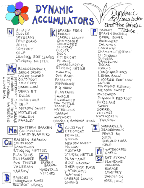 Dynamic Accumulators: Mother Nature's Free Fertilizer